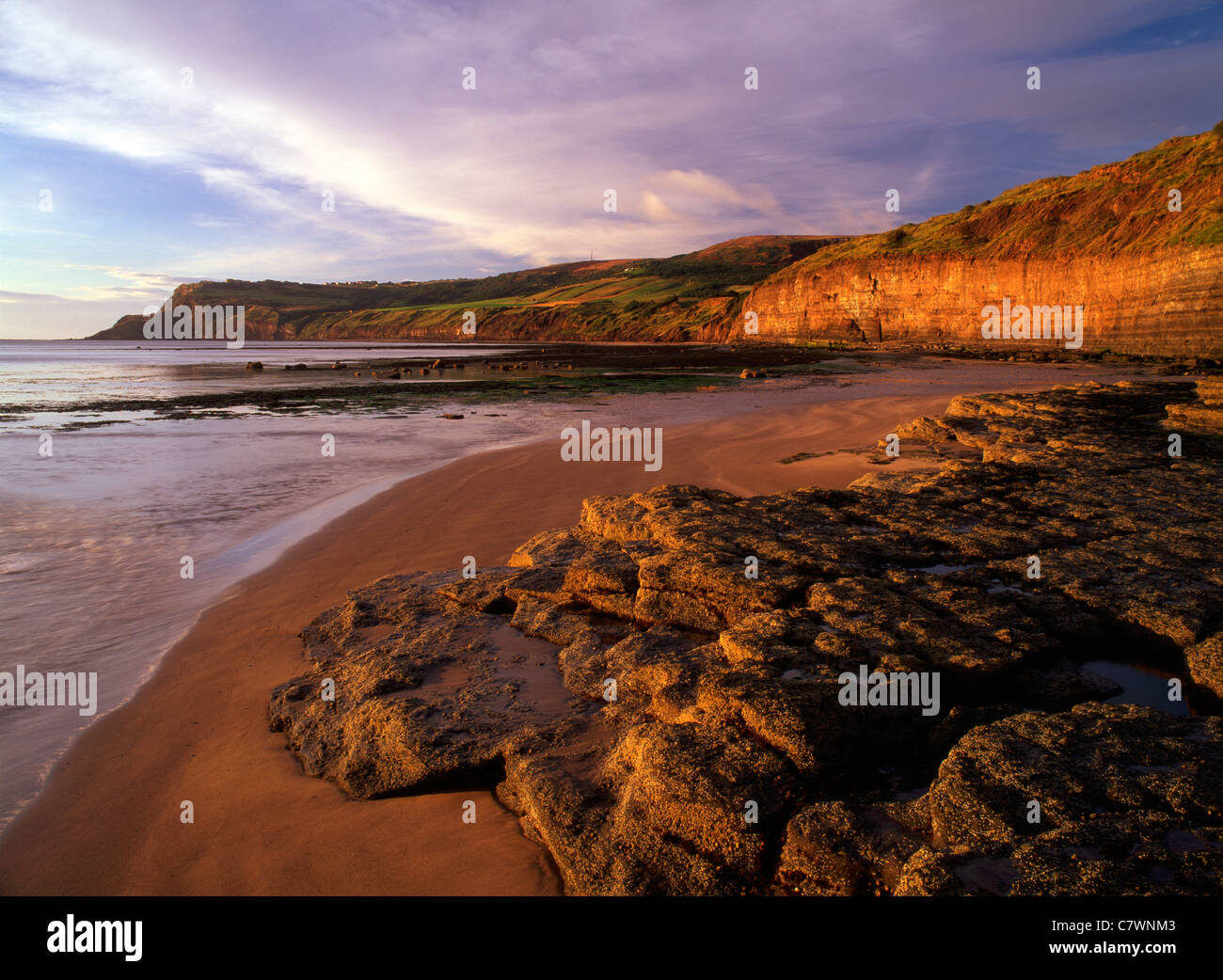 Ravenscar beach north yorkshire moors hi-res stock photography and ...