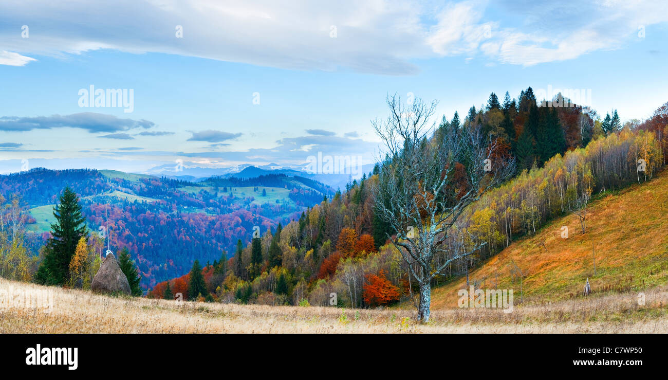 Autumn misty morning mountain panorama with haystack and stark bare ...