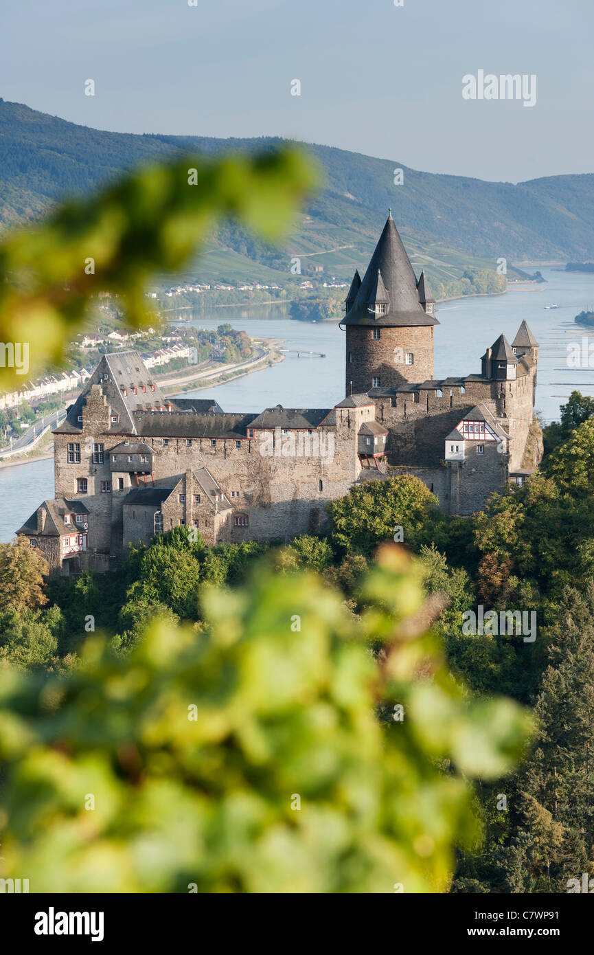 Burg Stahleck castle from vineyard above Bacharach village beside River ...