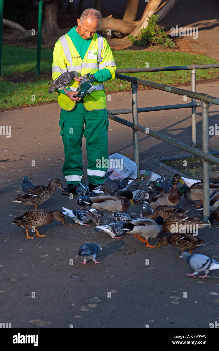 Worker feeding birds early morning Stock Photo - Alamy
