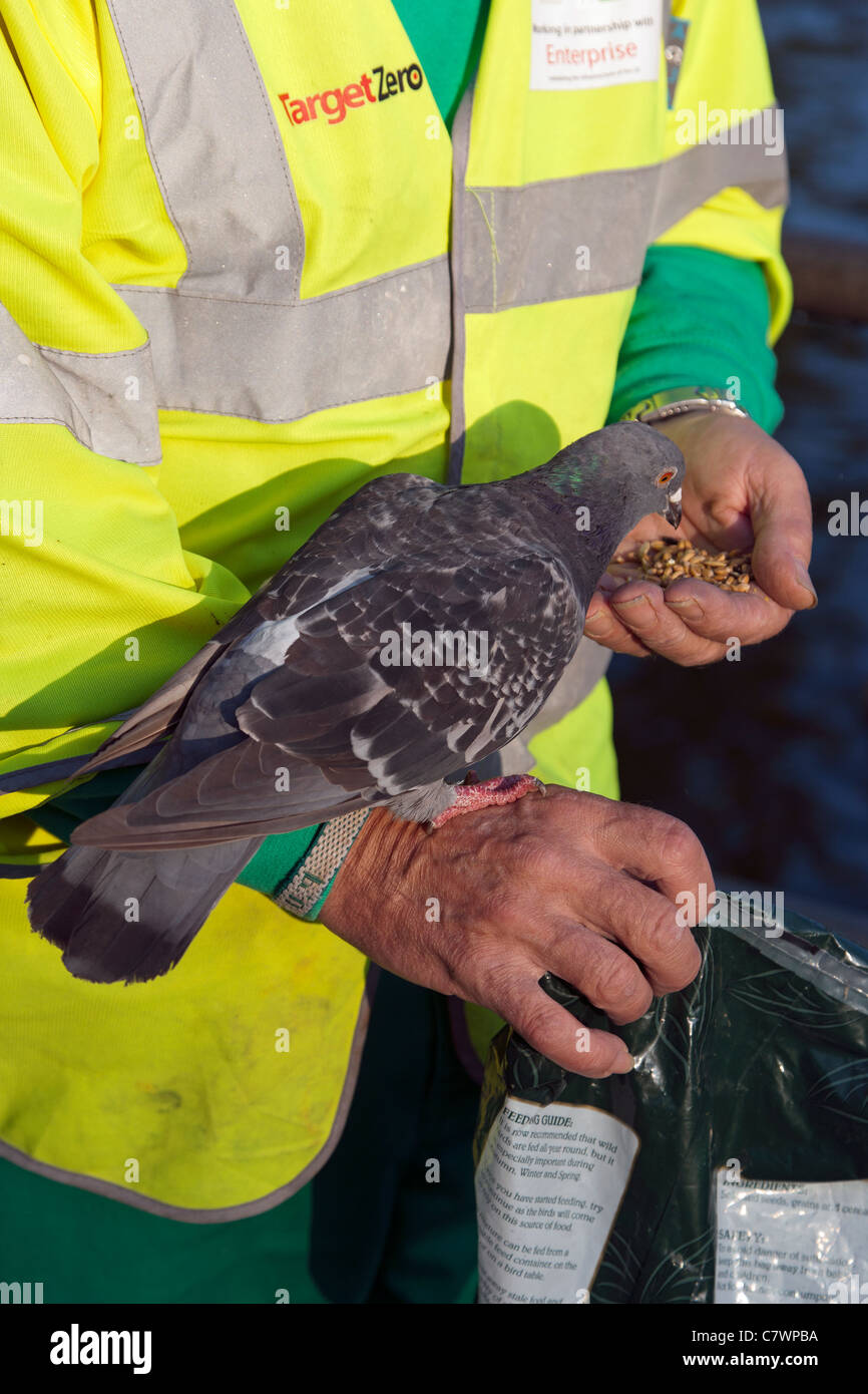 High vis hi-res stock photography and images - Alamy