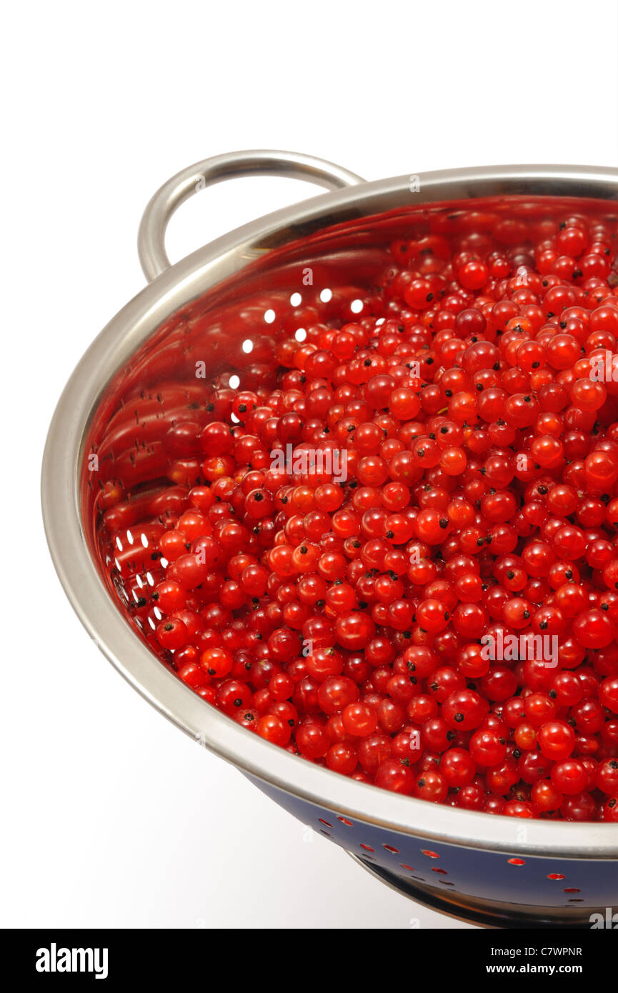 Fresh red currant berries with water drops in colander - isolated Stock ...