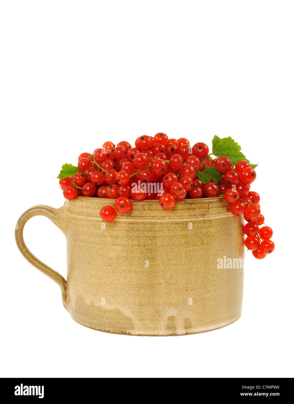 Ceramic cup full of fresh red currant berries. Clipping path included ...
