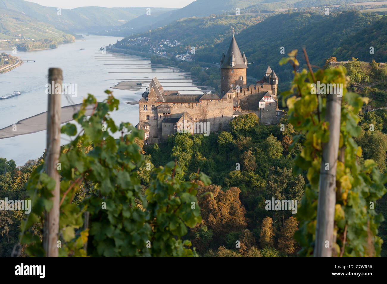 Burg Stahleck castle from vineyard above Bacharach village beside River ...