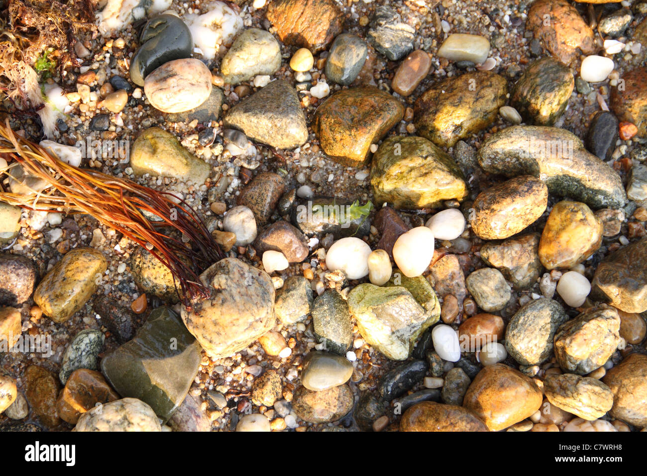 sunset landscape rocks seaweed sand wet rocks from ocean Stock Photo ...