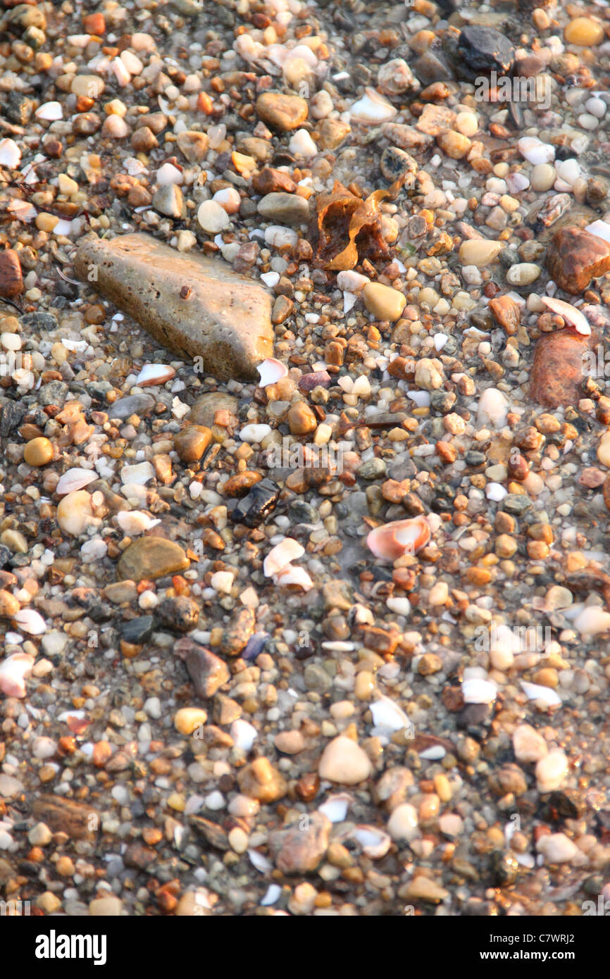 rocks and shells at sunset time of day evening water Stock Photo - Alamy