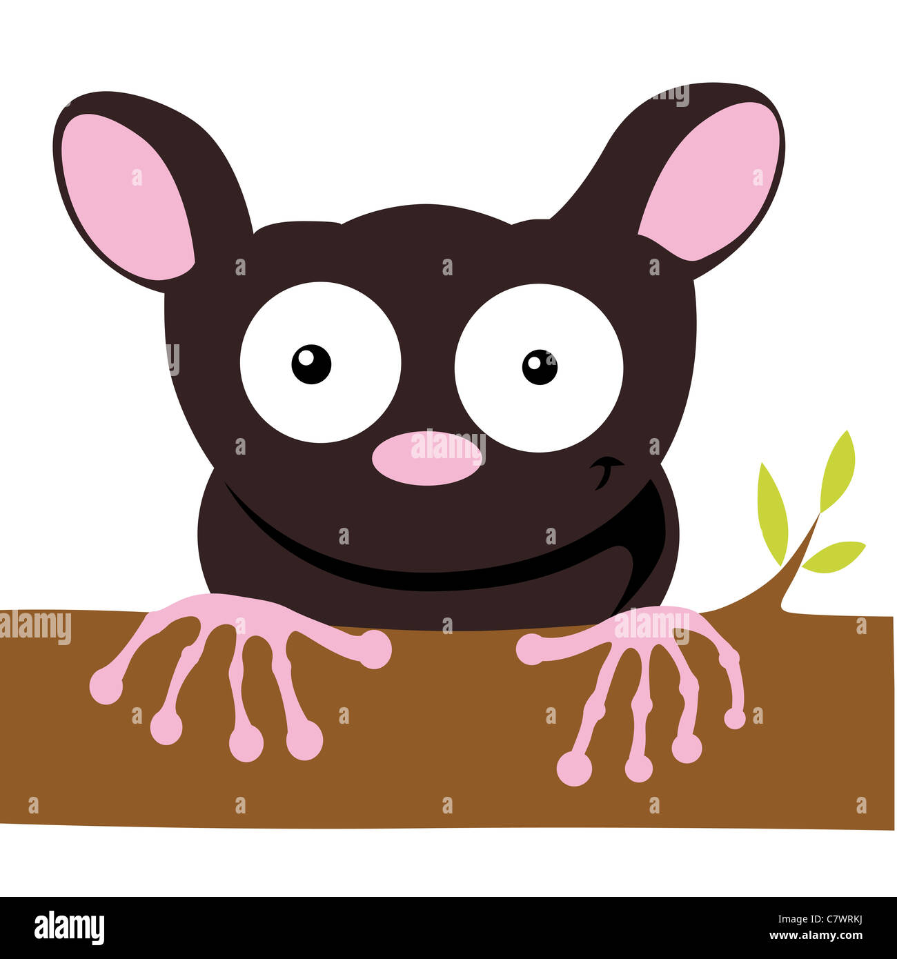 Nocturnal primate Cut Out Stock Images & Pictures - Alamy