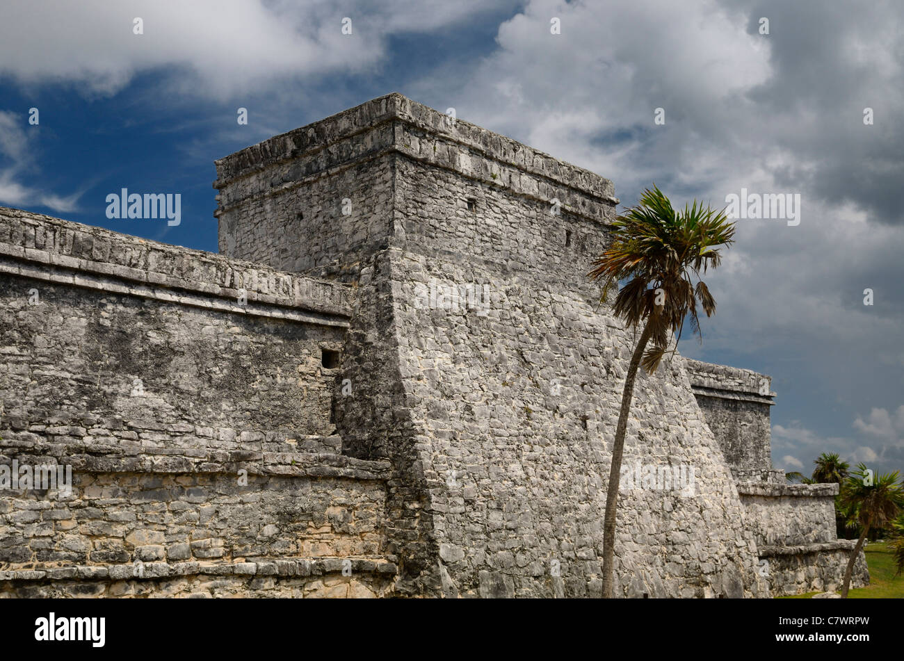 Wall of the Castle pyramid temple ruin with Palm tree facing the sea at ...