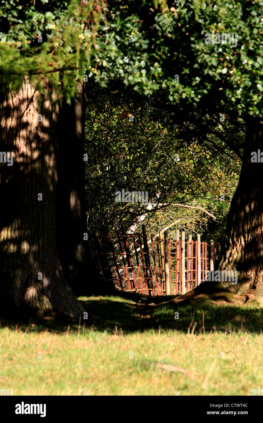 A Old fence in-between two trees Stock Photo - Alamy