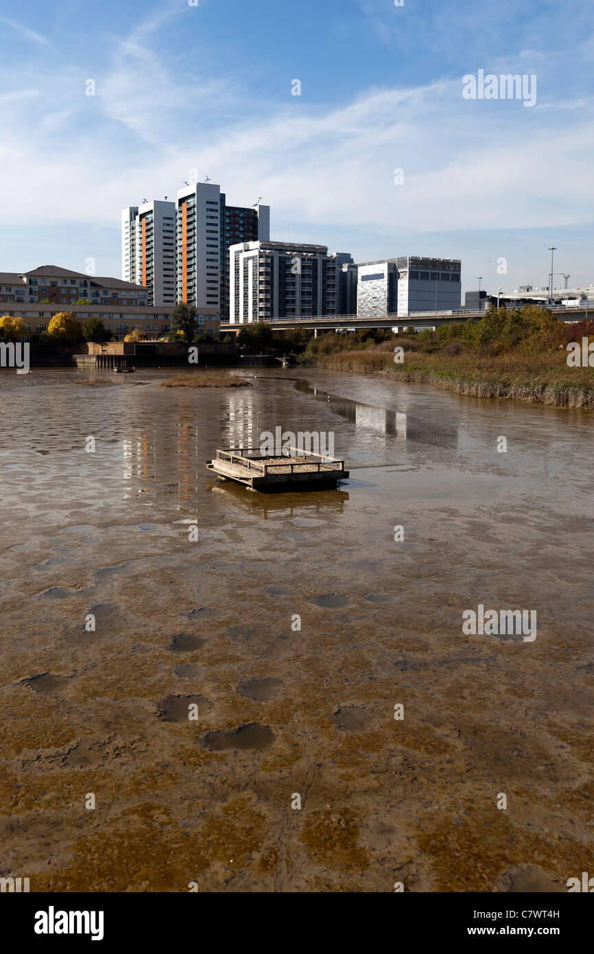 East India Docks Basin wildlife refuge Isle of Dogs, London, England ...