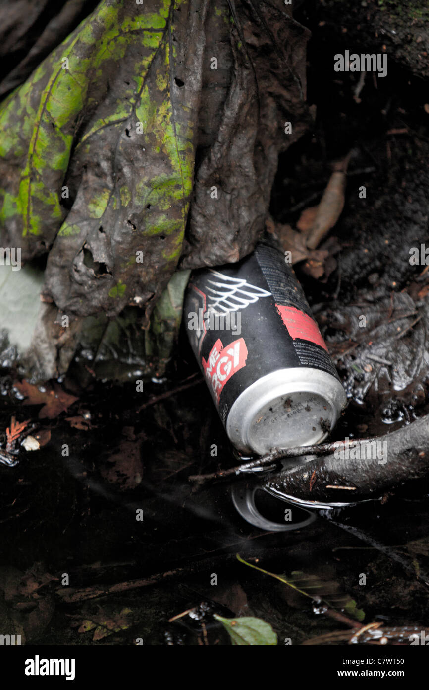 A old can of No Fear thrown away and not cleaned up Stock Photo - Alamy