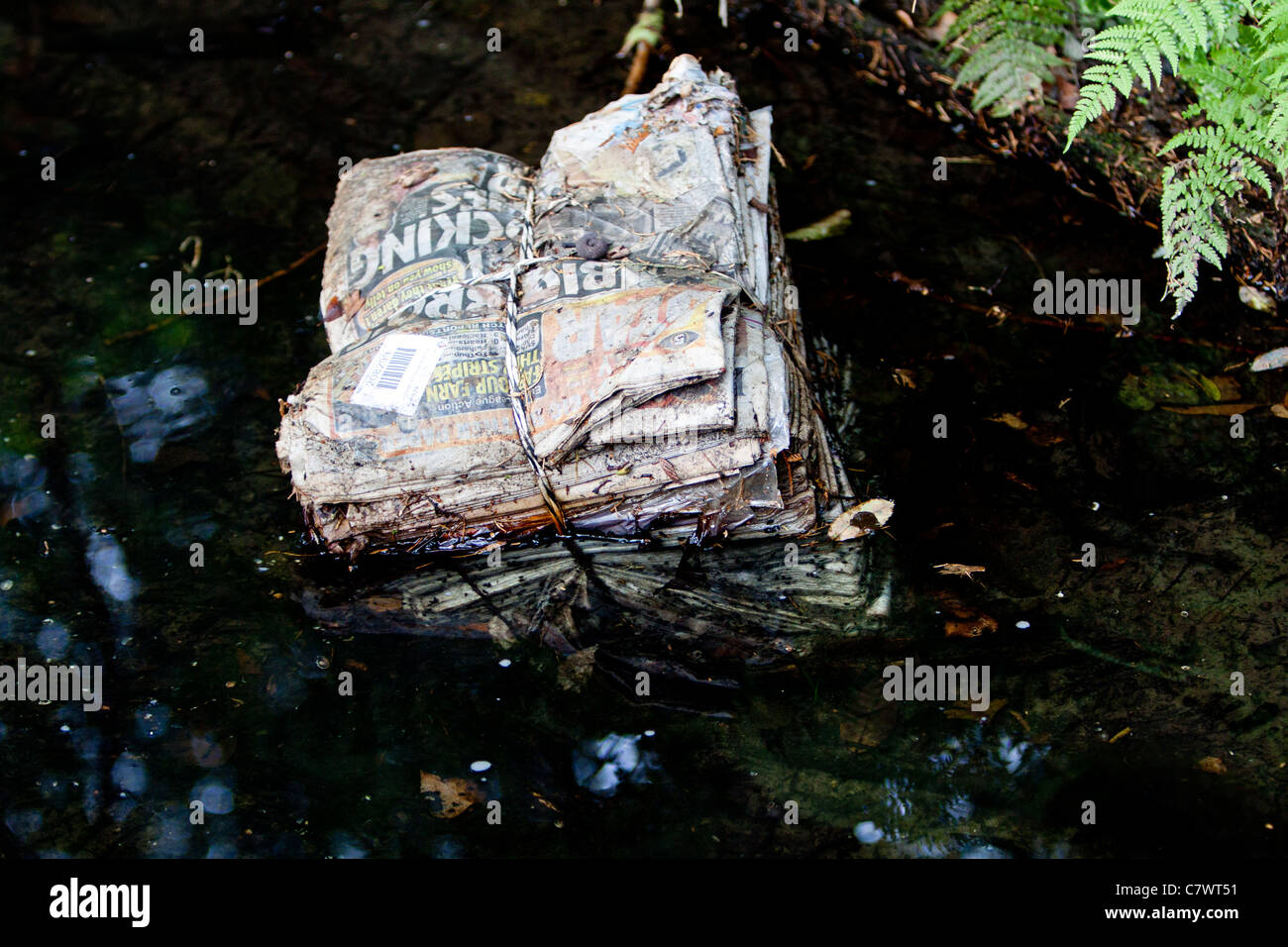 Load of old newspapers in a Dirty Stream, what a waste Stock Photo - Alamy