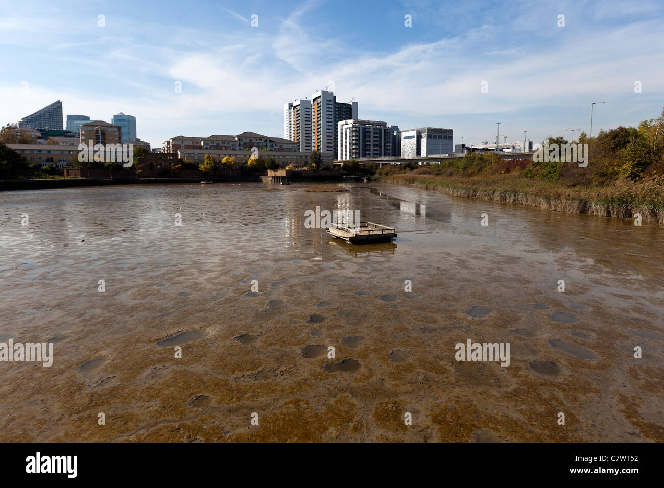 East India Docks Basin wildlife refuge Isle of Dogs, London, England ...