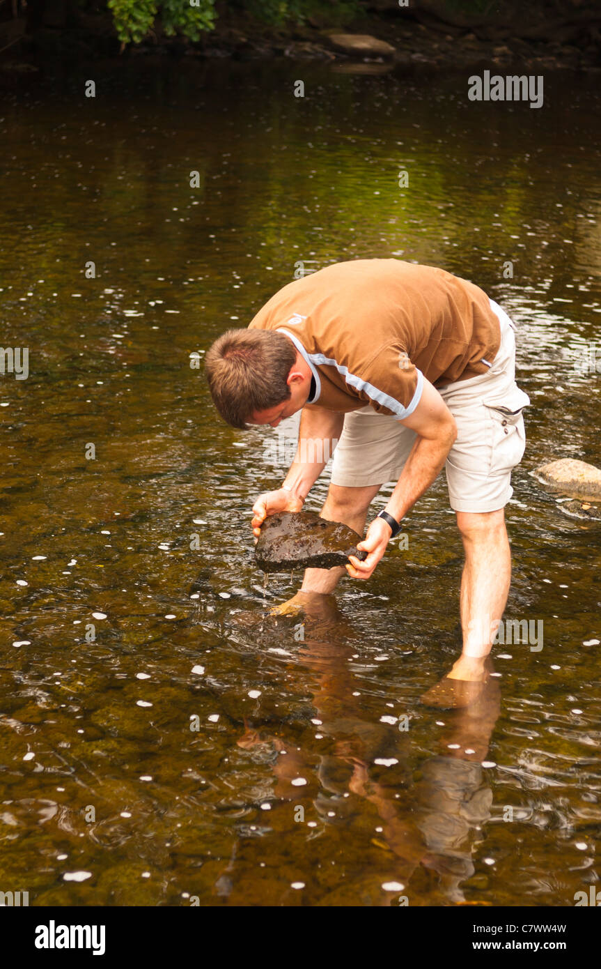 Creatures in a pond hi-res stock photography and images - Alamy