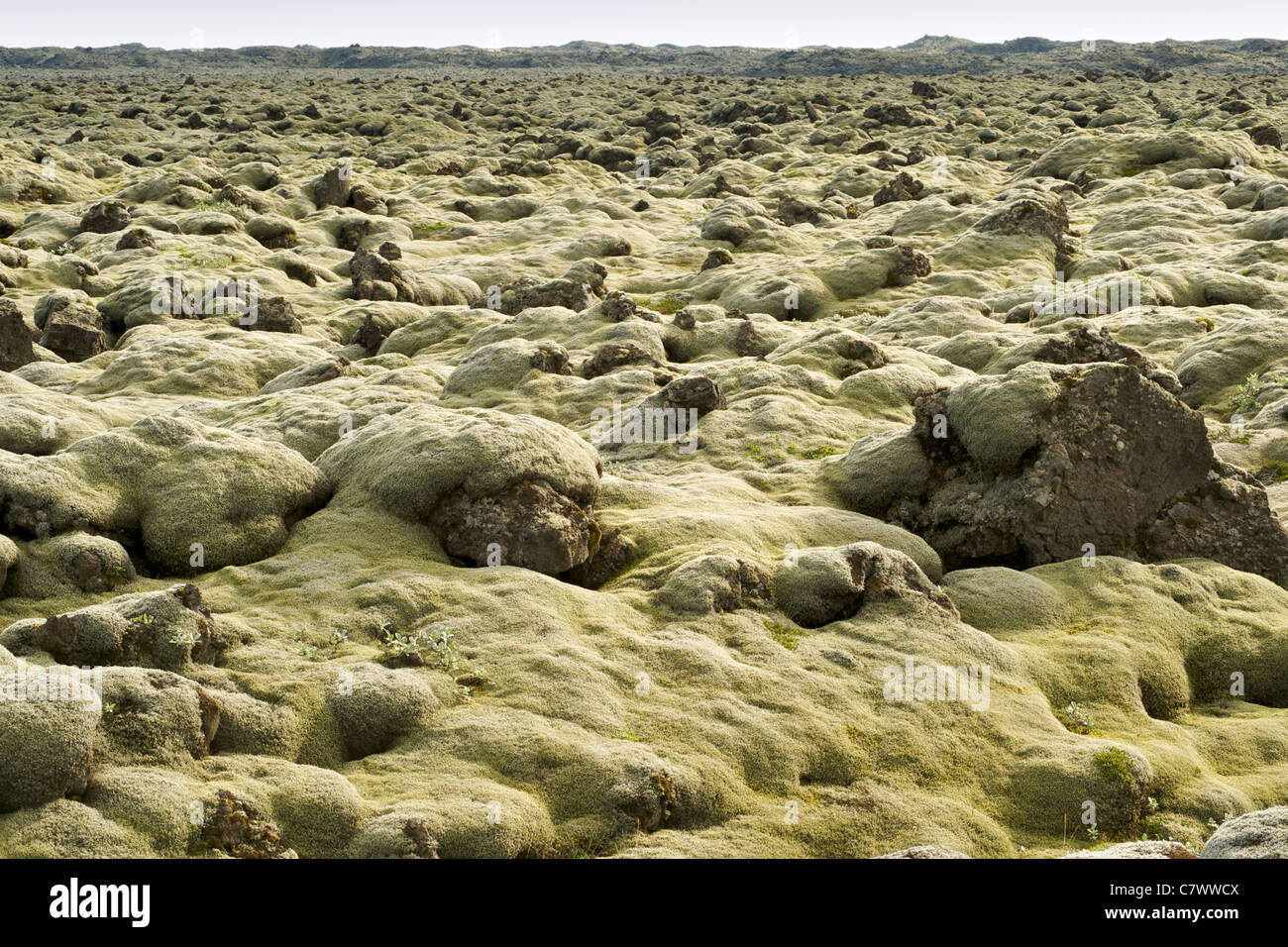 Solidified lava field hi-res stock photography and images - Alamy