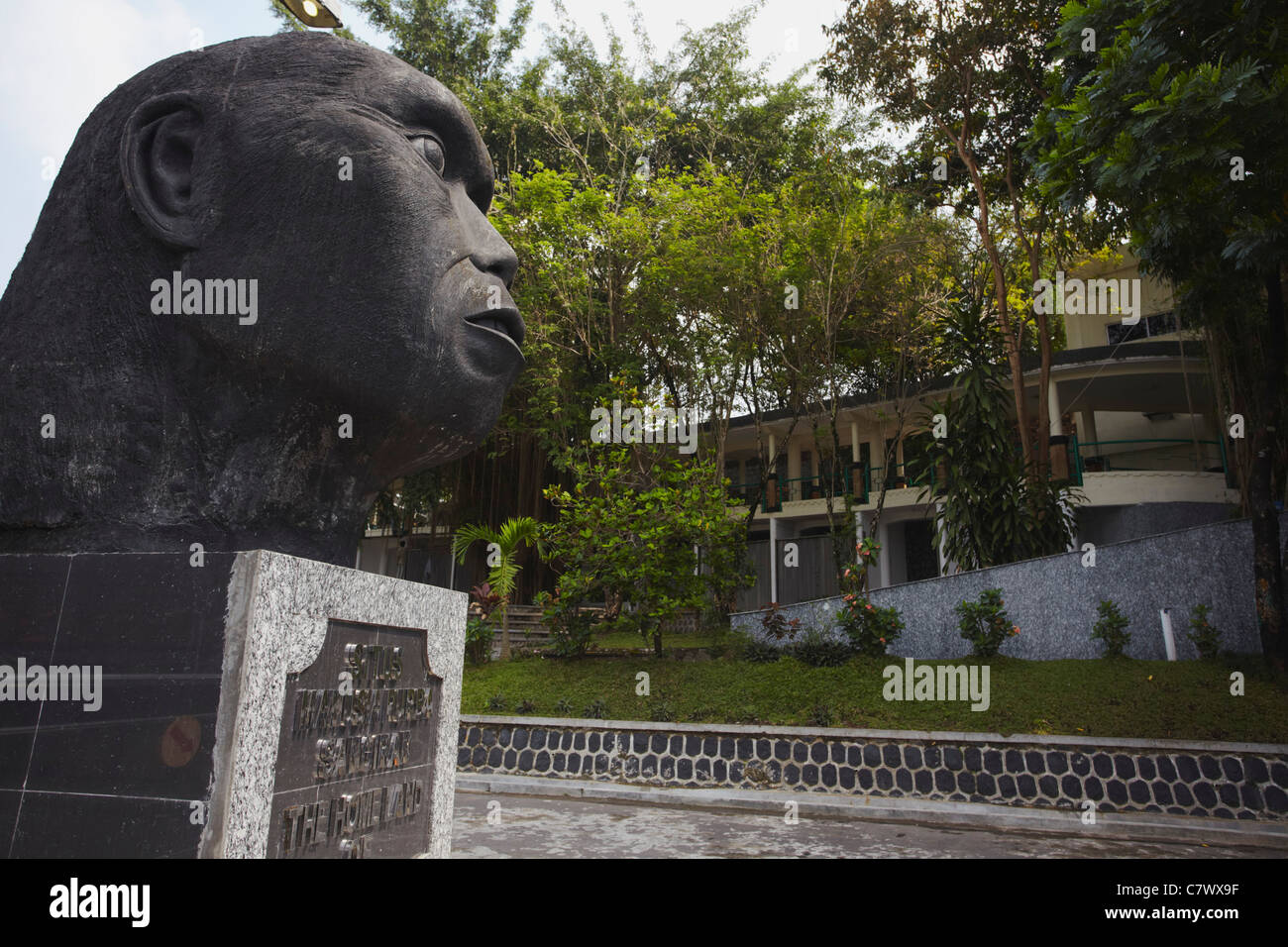 Java man site hi-res stock photography and images - Alamy