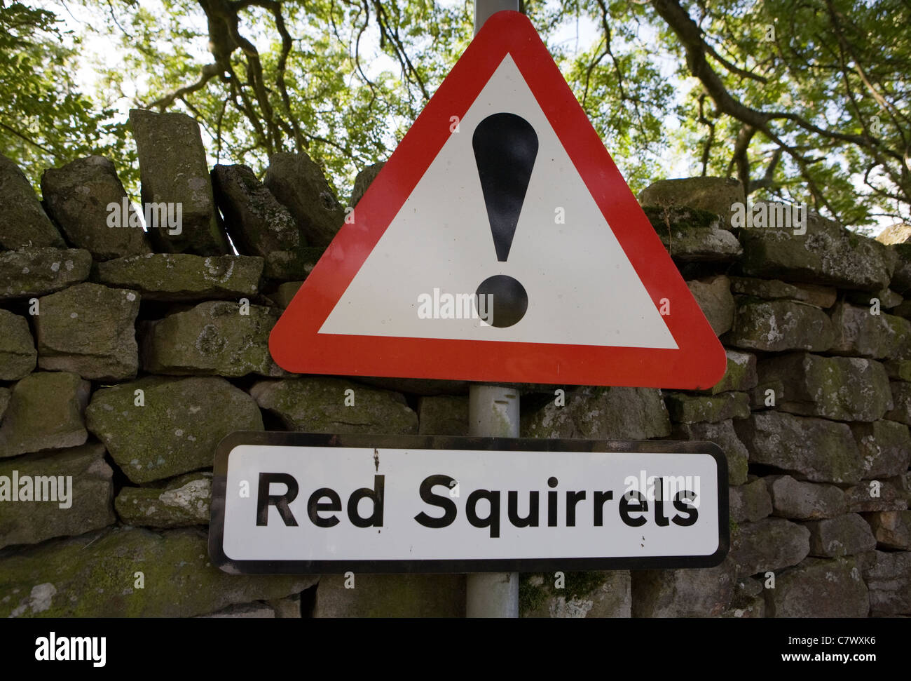 Beware red squirrels road sign hi-res stock photography and images - Alamy