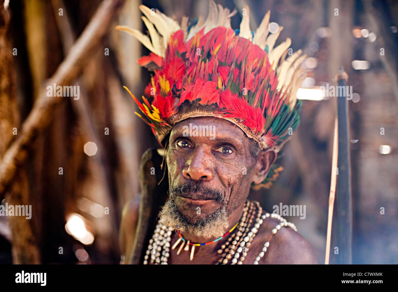 Papua New Guinea tribesman Stock Photo - Alamy