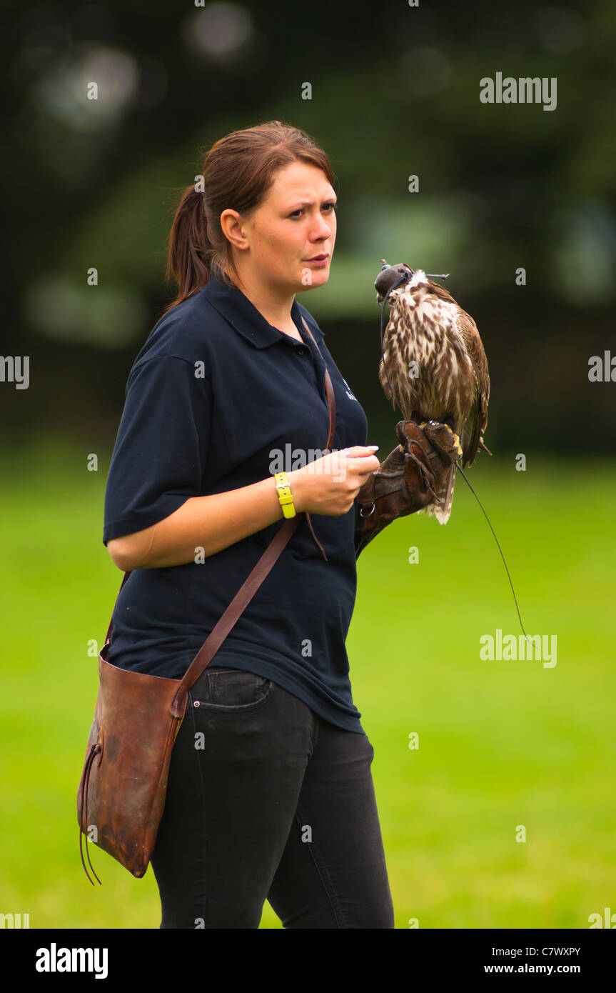 A Falconry display at Bolton Castle near Leyburn in North Yorkshire ...