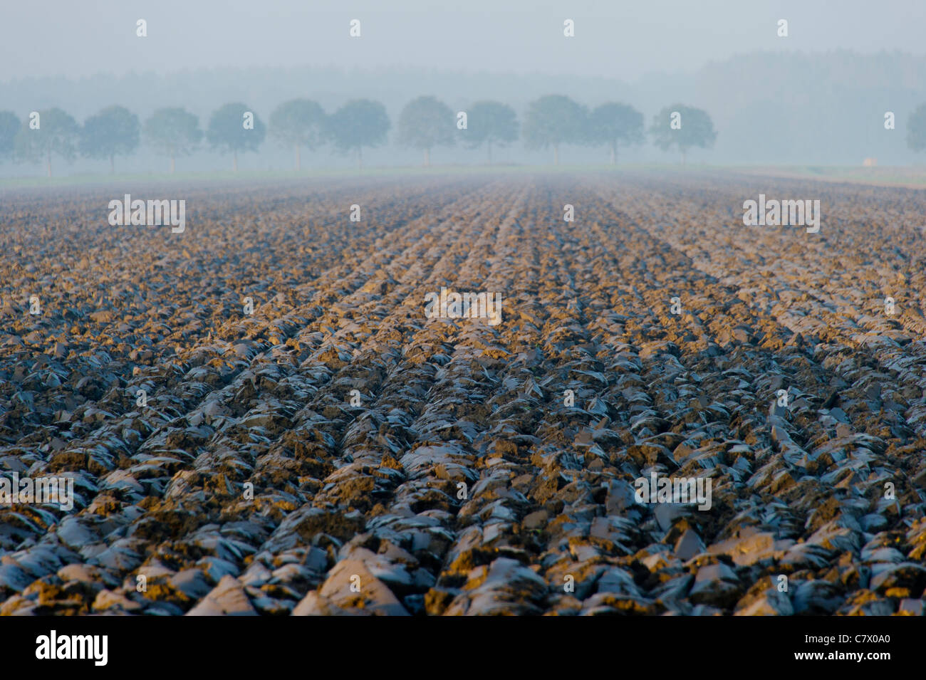 Ploughed soil ready for sowing Stock Photo - Alamy