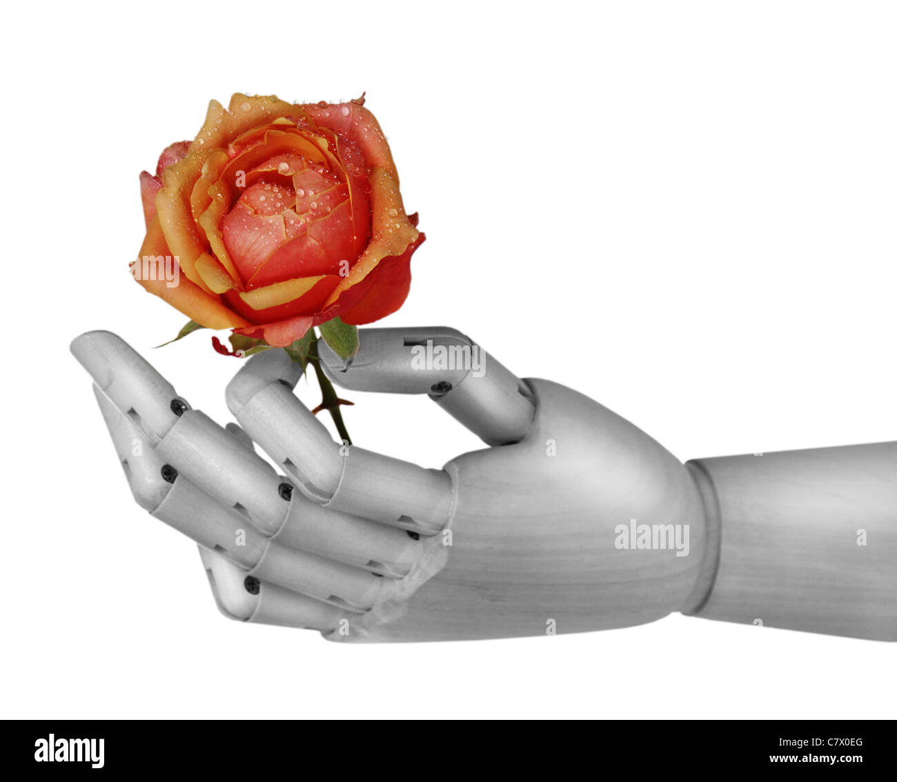 Hand fingers holding delicate Cut Out Stock Images & Pictures - Alamy