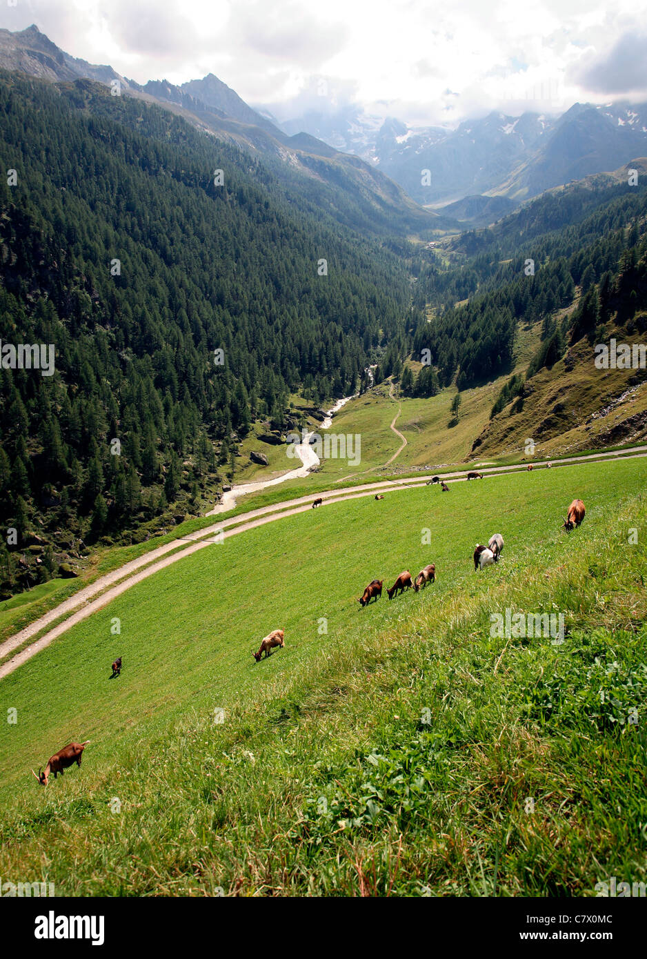 South tyrol alps hi-res stock photography and images - Alamy