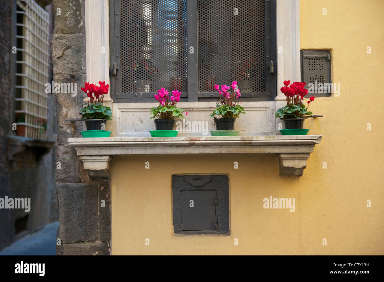 Flower pots window ledge hi-res stock photography and images - Alamy