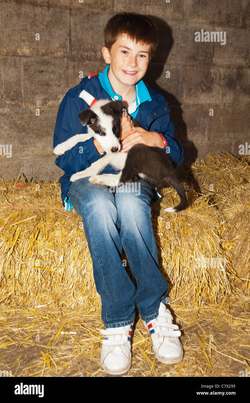 Border Collie Puppy Farm High Resolution Stock Photography and Images ...