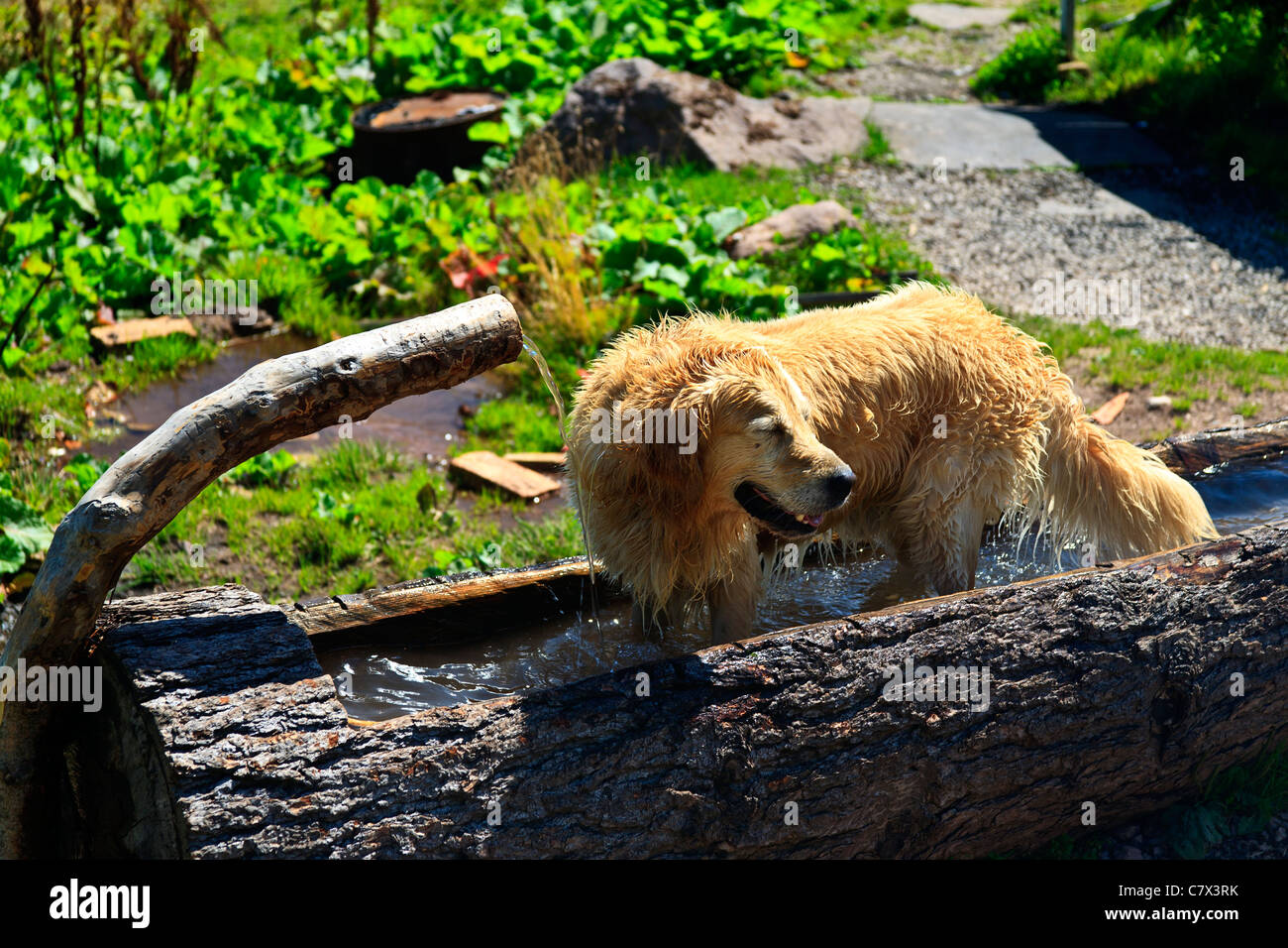 Cooling trough hi-res stock photography and images - Alamy