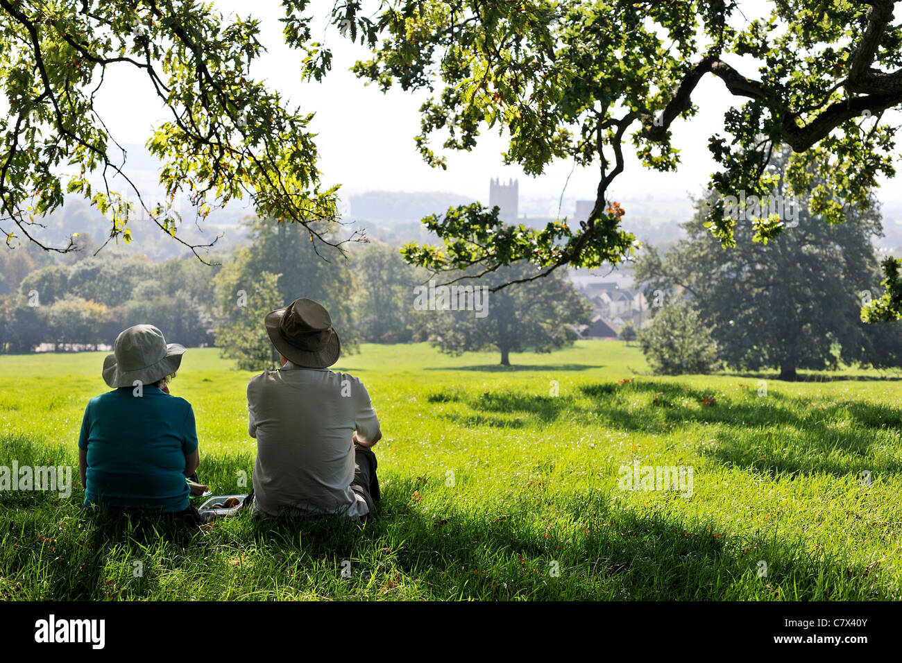 Old couple under a tree admiring the countryside view Stock Photo - Alamy