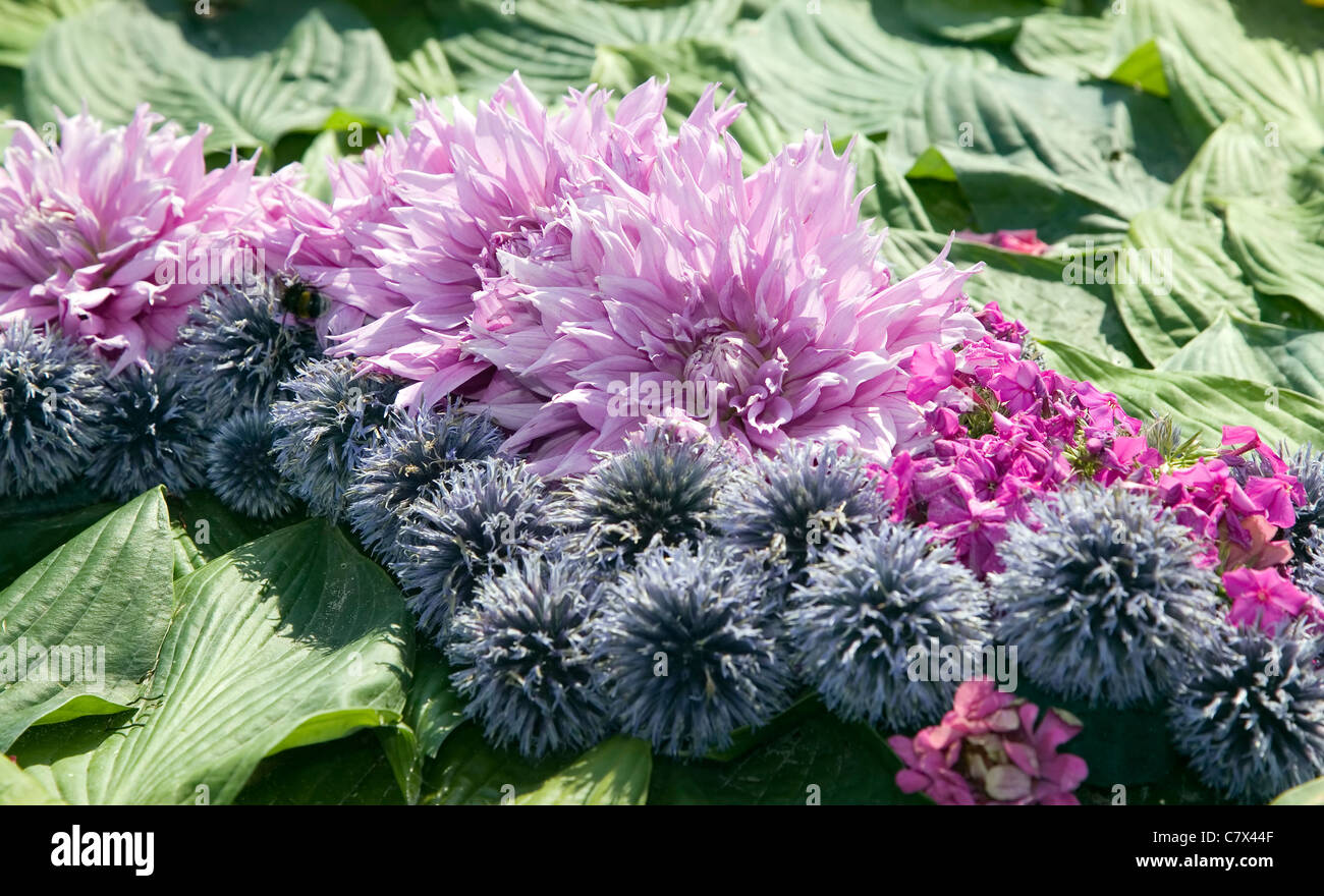 Background made from colorful plants and beautiful white, purple ...