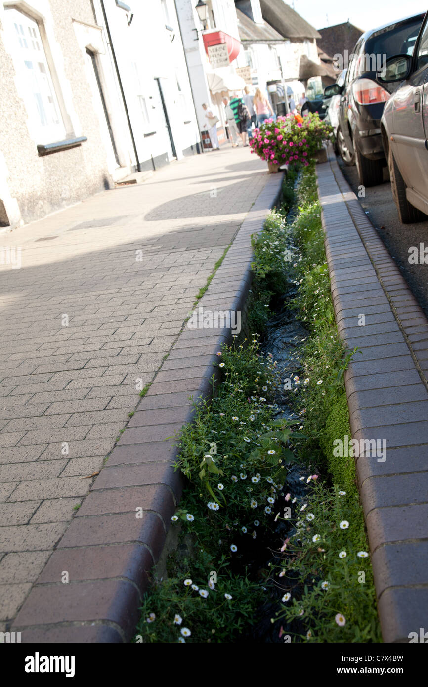 Beer devon fore street hi-res stock photography and images - Alamy