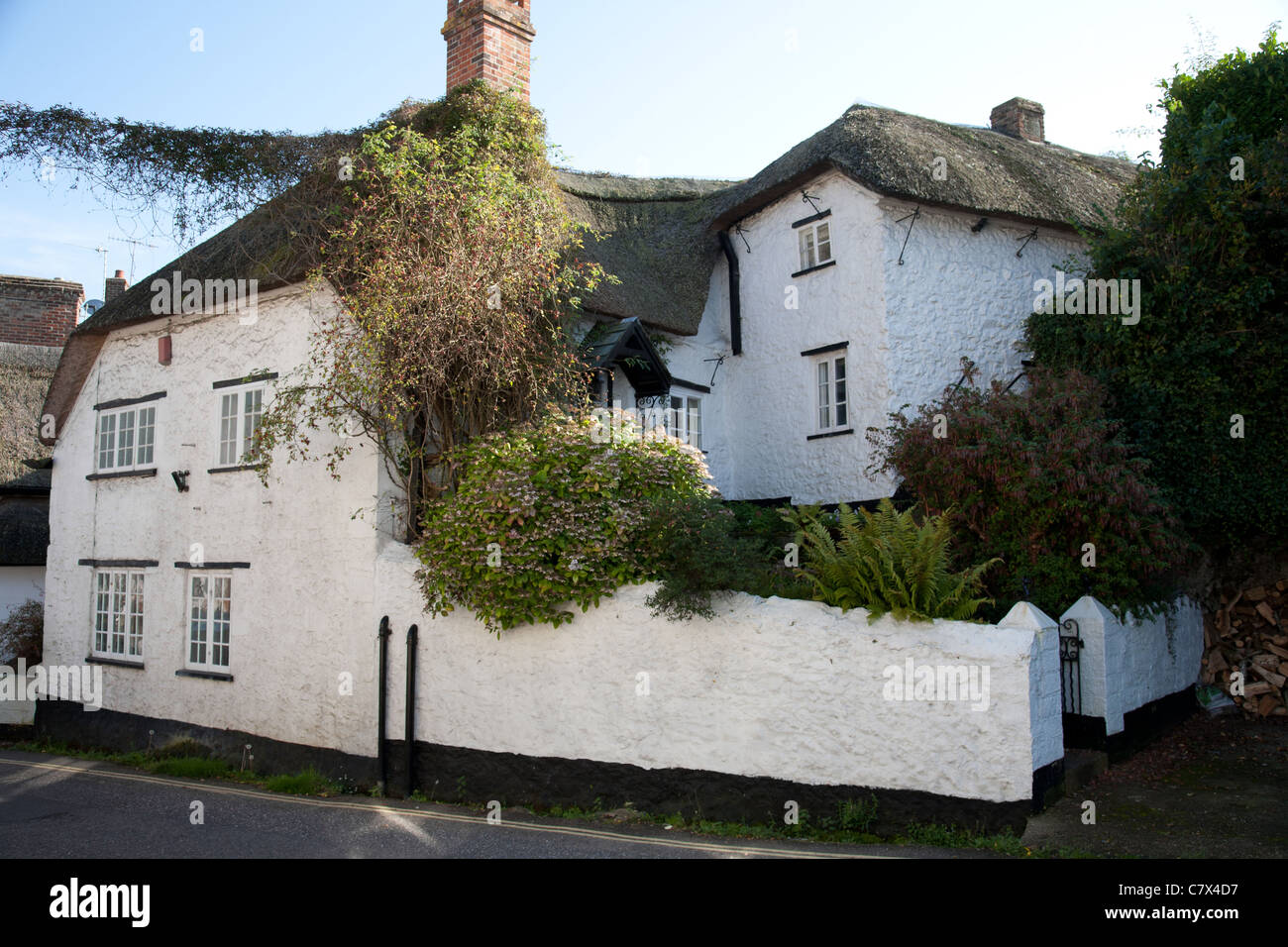 Thatch cottages in the village of Beer in Devon Stock Photo - Alamy