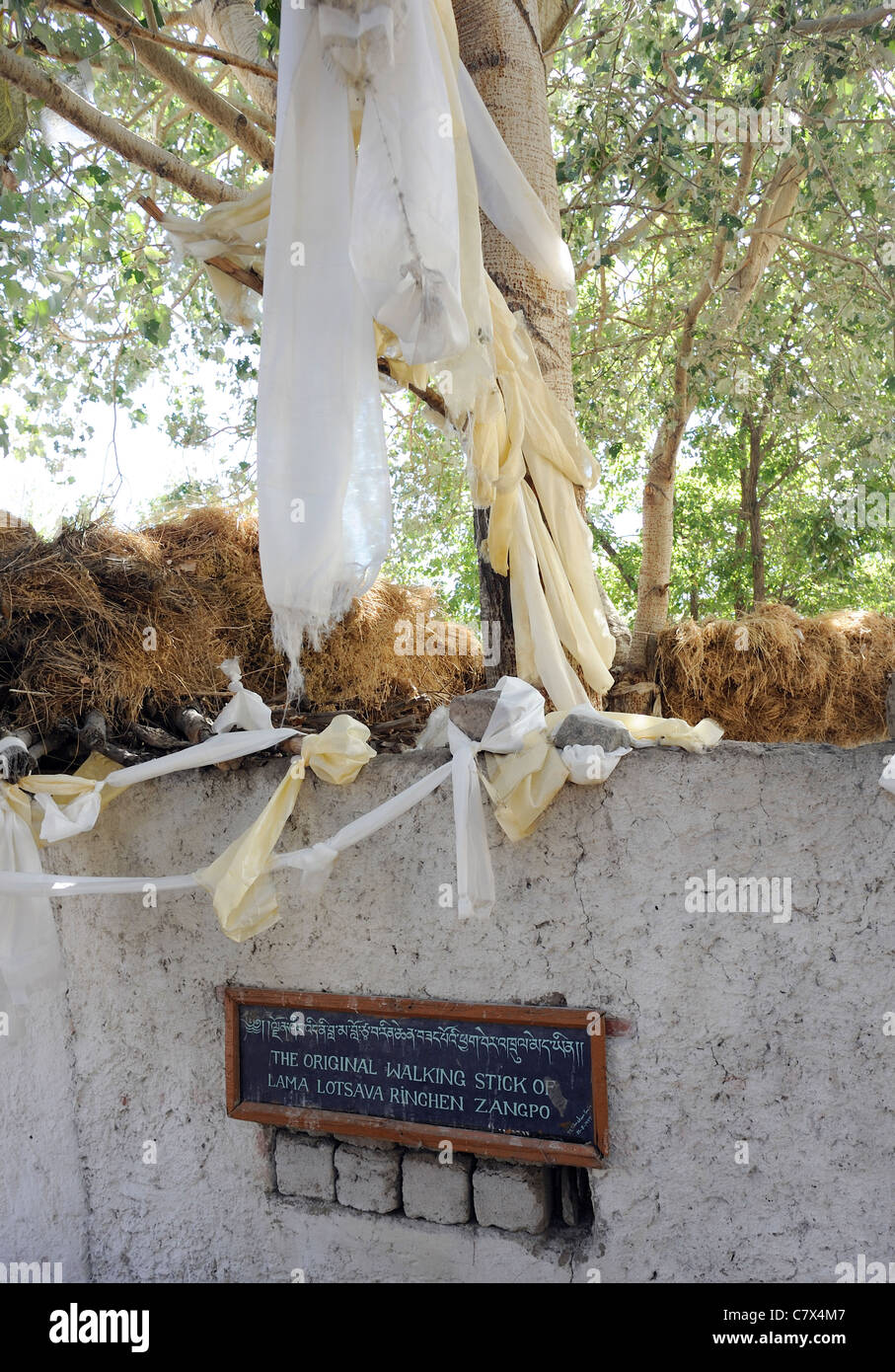 A tree that tradition says sprouted from the walking stick of lama ...