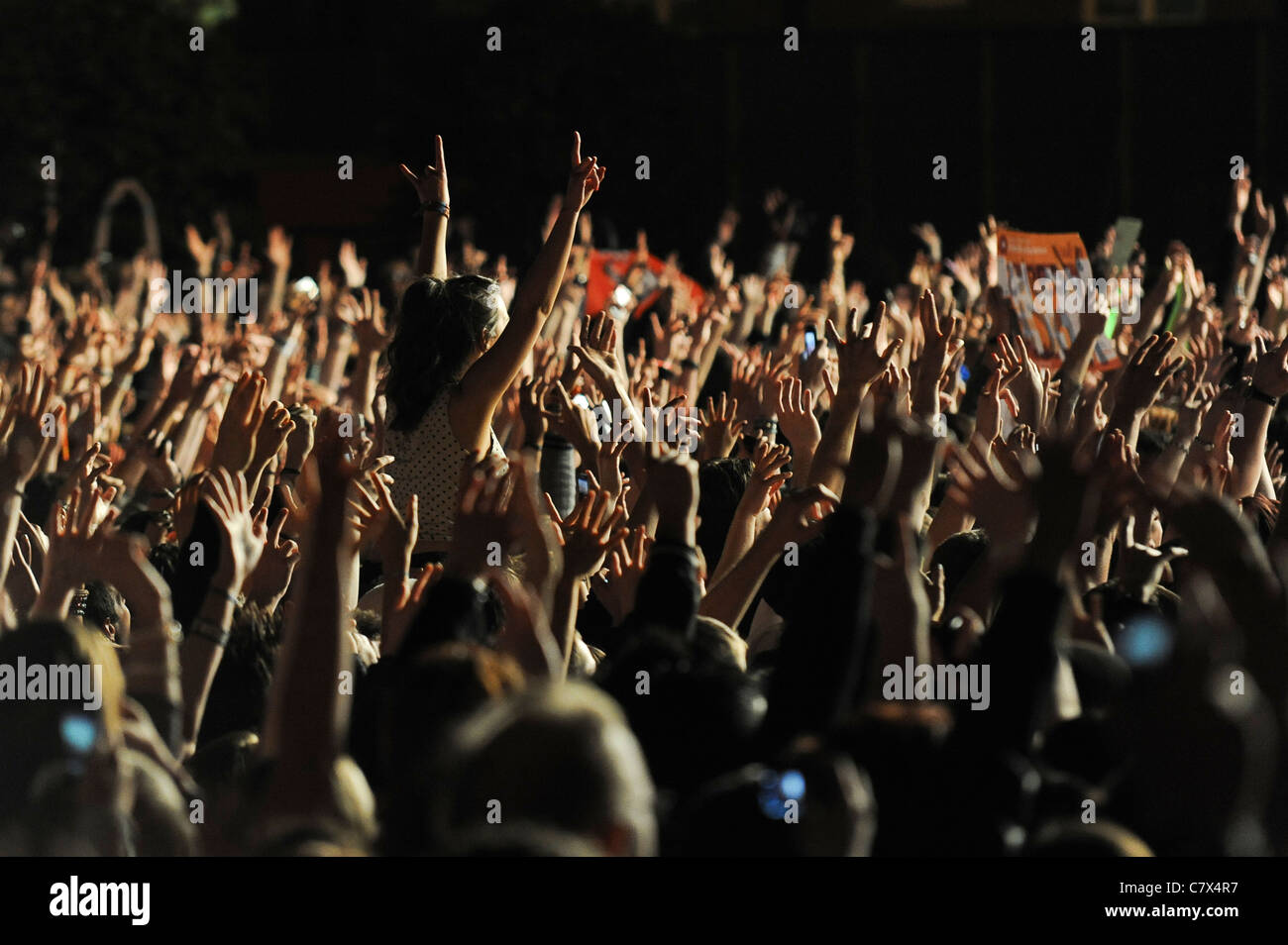 Fan celebrates at concert Stock Photo - Alamy