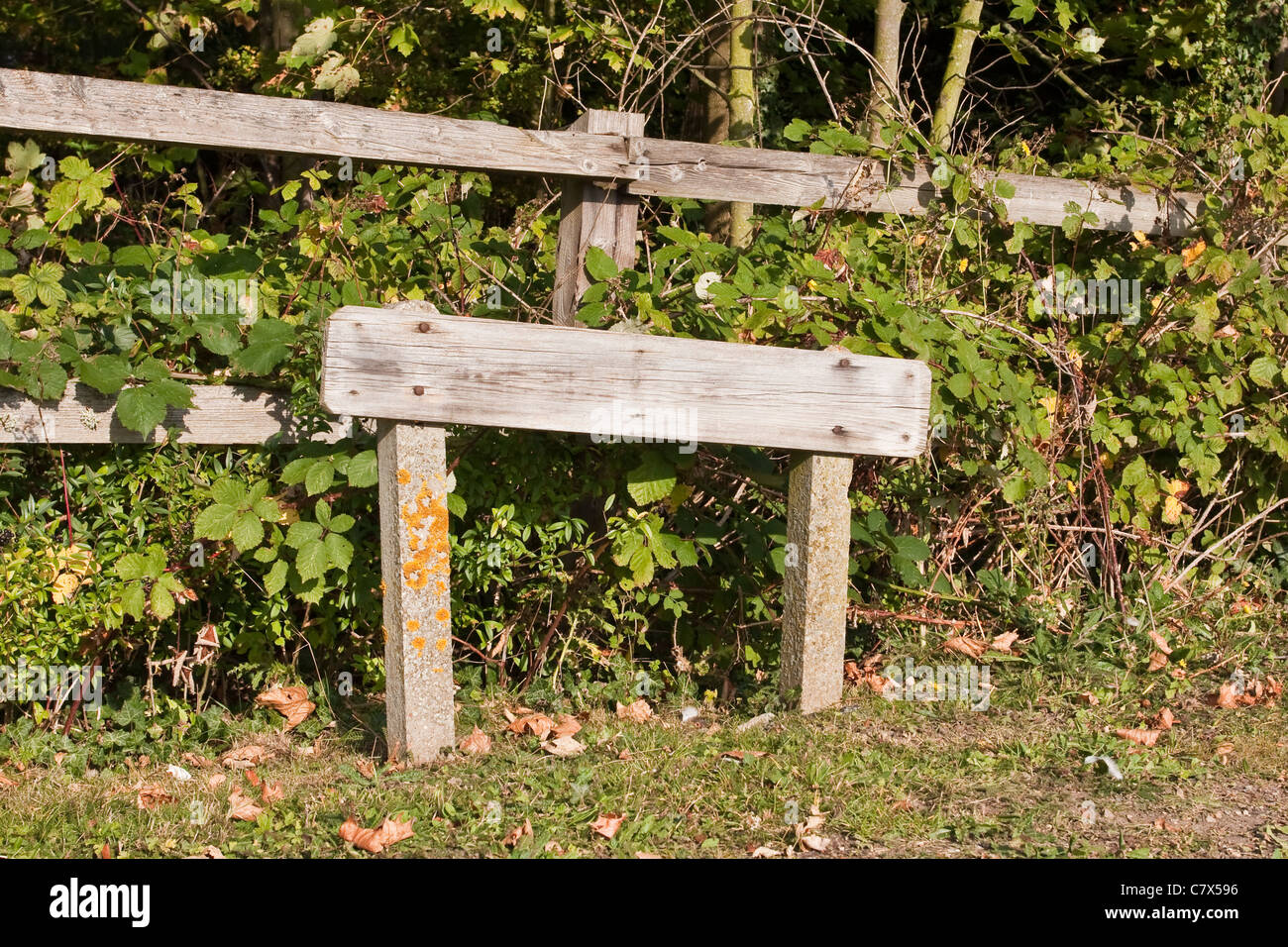 Blank street sign hi-res stock photography and images - Alamy