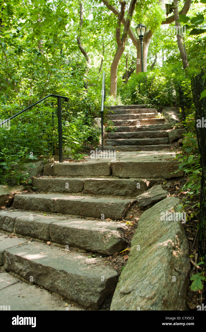 Steps central park new york hi-res stock photography and images - Alamy