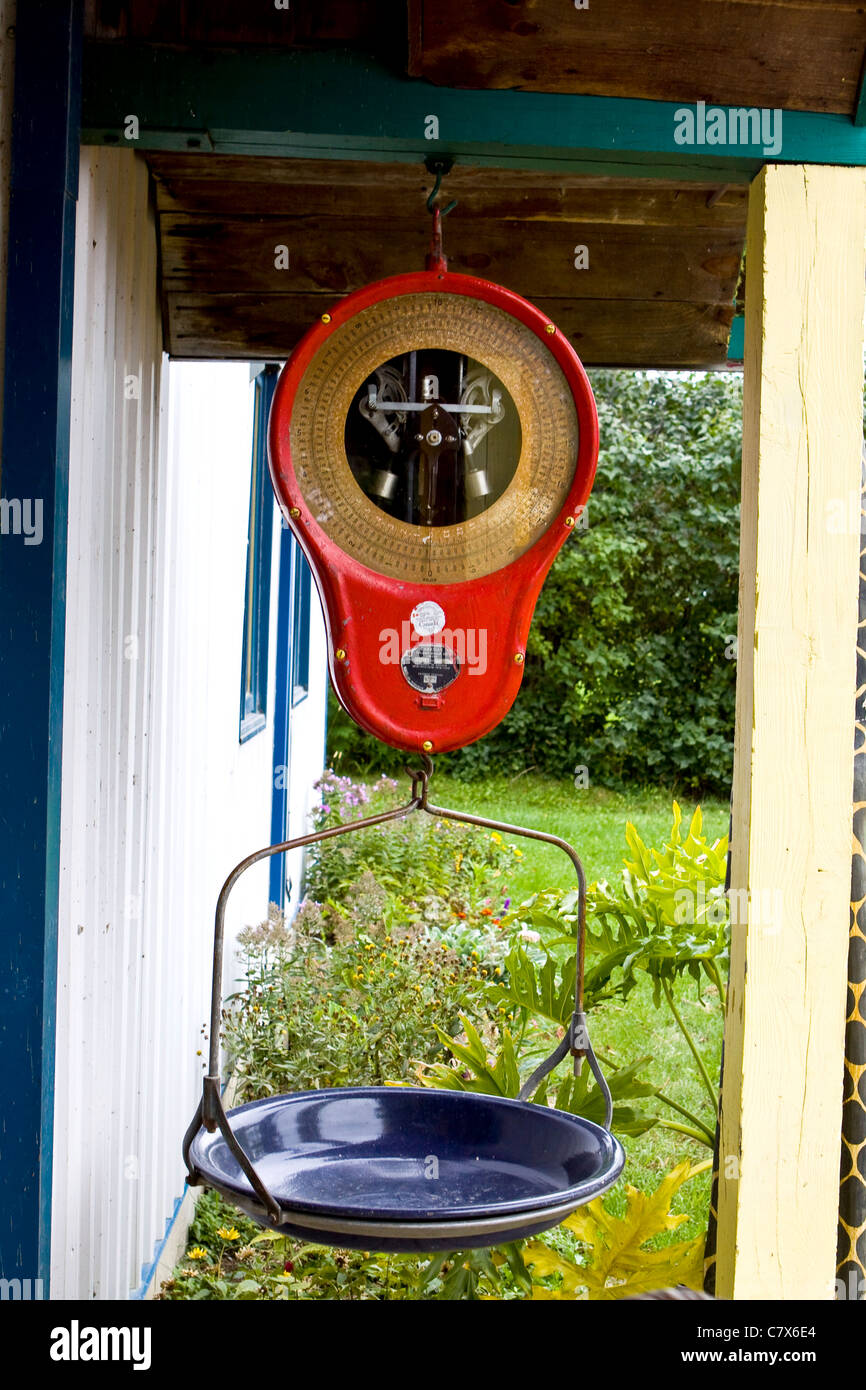 Produce weight scale in a orchard in Canada Stock Photo - Alamy