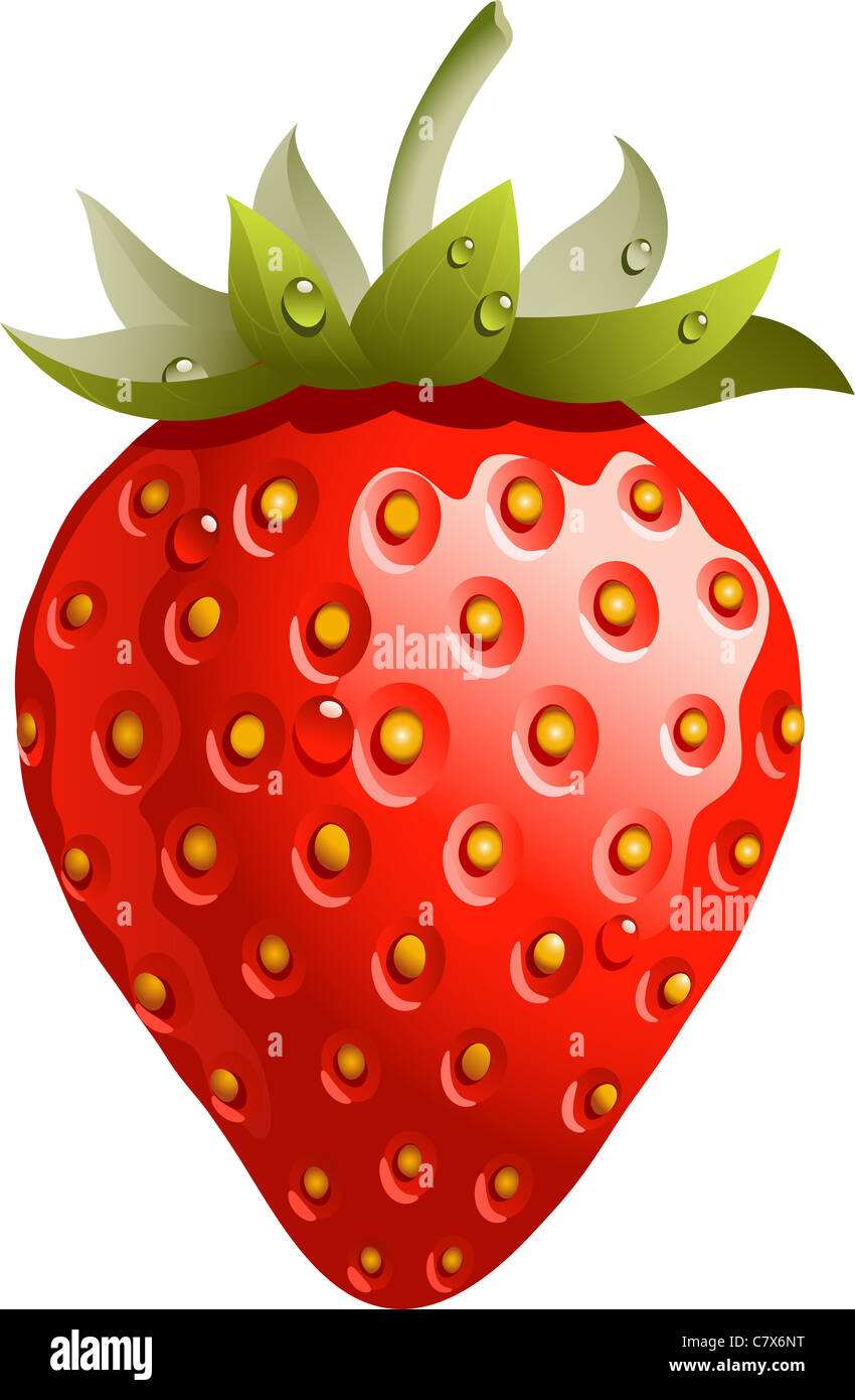 Pip vector hi-res stock photography and images - Alamy