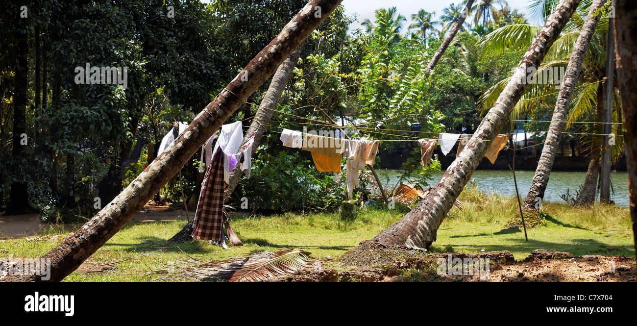 panorama washing line, clothes blowing in the wind at a clearing in a ...