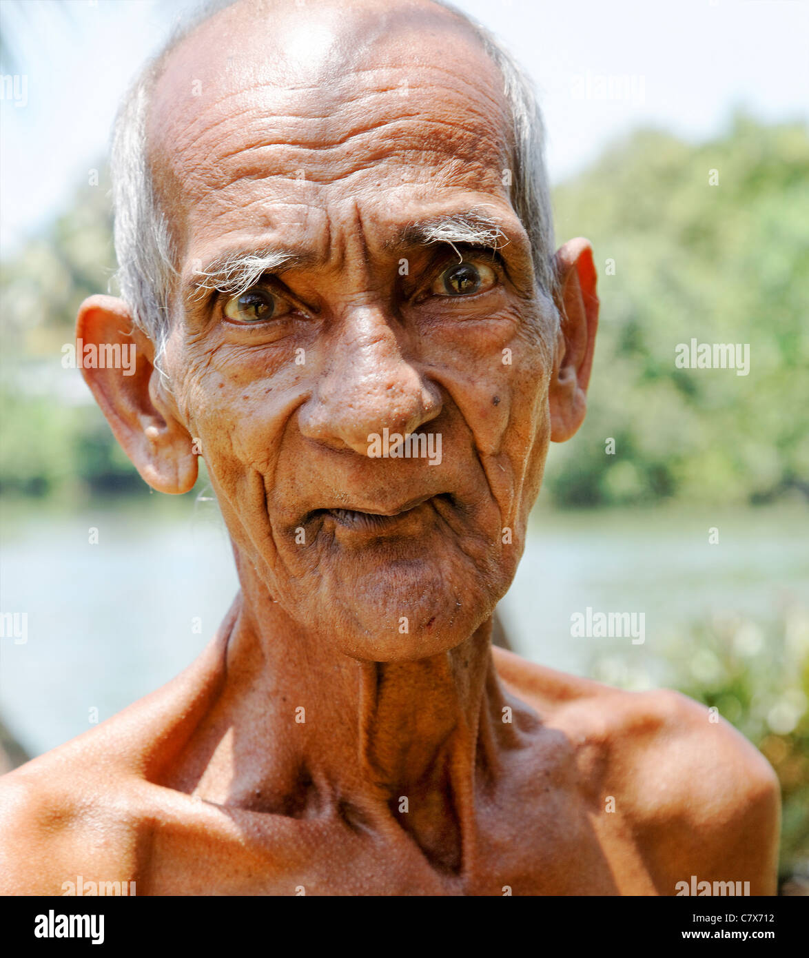 Indian gentleman hi-res stock photography and images - Alamy