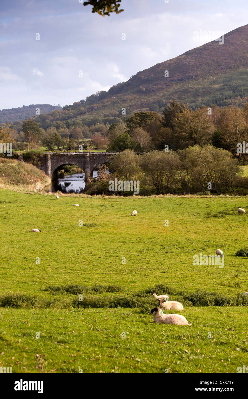 Glenmalure High Resolution Stock Photography and Images - Alamy