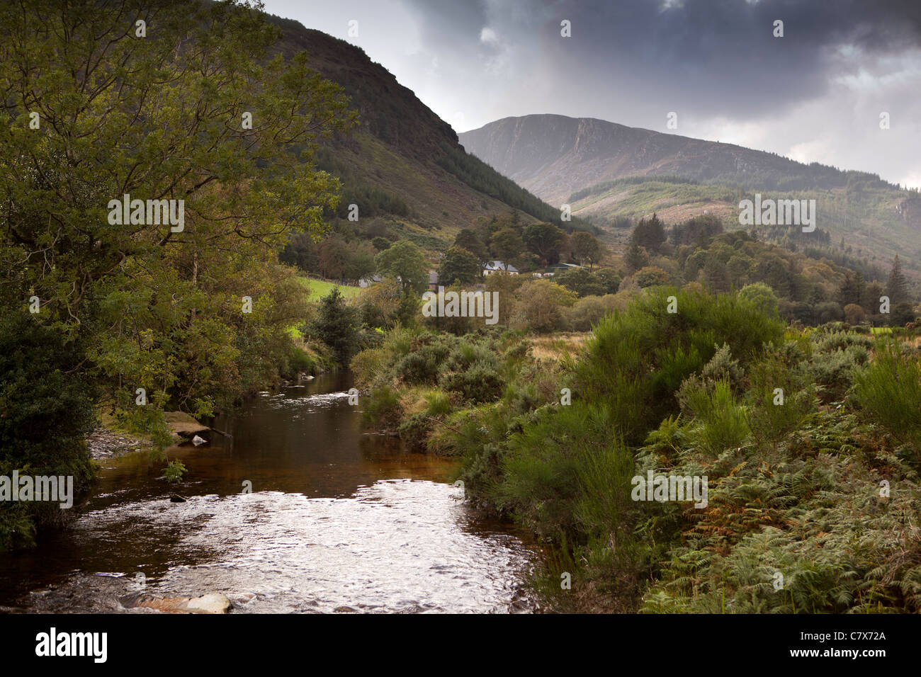 Ireland, Co, Wicklow, Glenmalure, Avonbeg River flowing through the ...