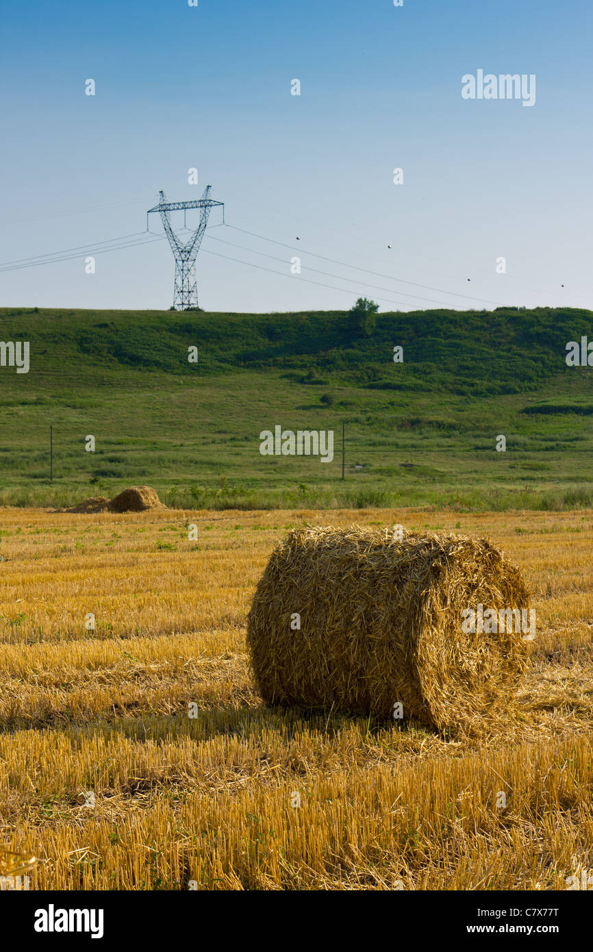 Straw Rick Stock Photos & Straw Rick Stock Images - Alamy