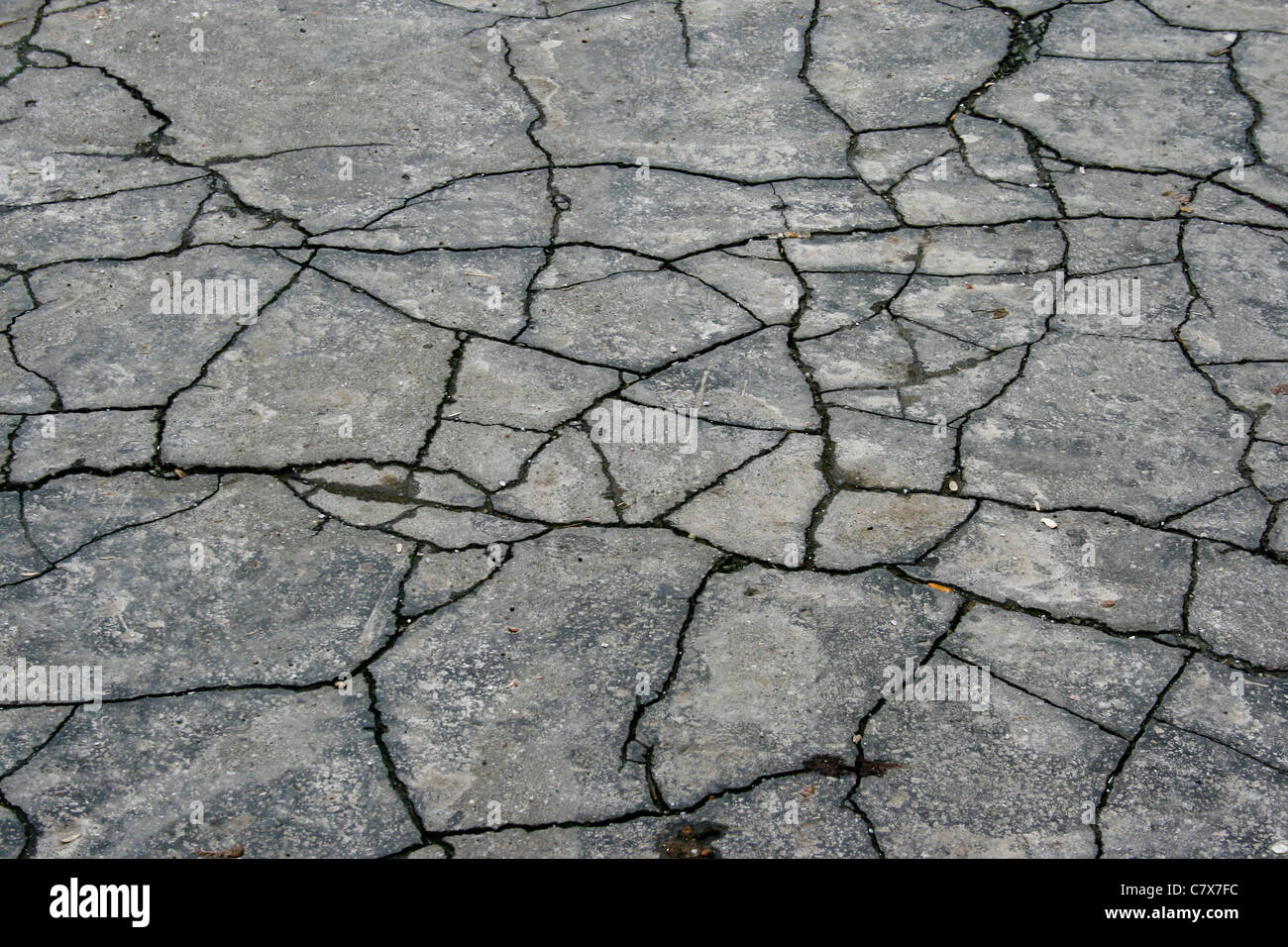 dried land view Stock Photo - Alamy