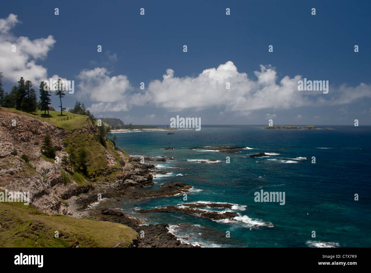 Norfolk island pine tree ocean hi-res stock photography and images - Alamy