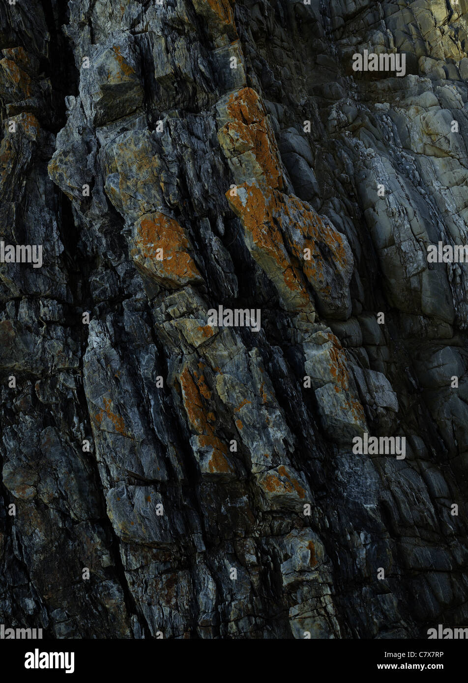 folded quartzite near Bermagui, NSW Australia Stock Photo - Alamy