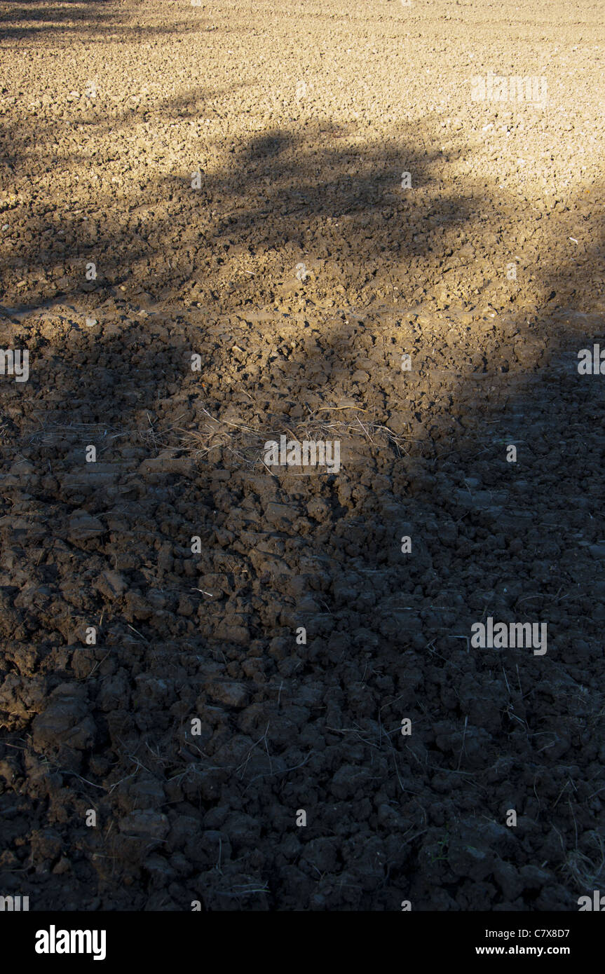 Ploughed and harrowed field Stock Photo - Alamy