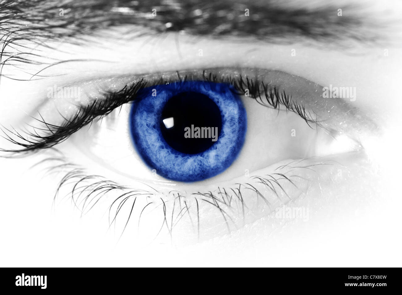 Close up of a mans blue eyes Stock Photo - Alamy