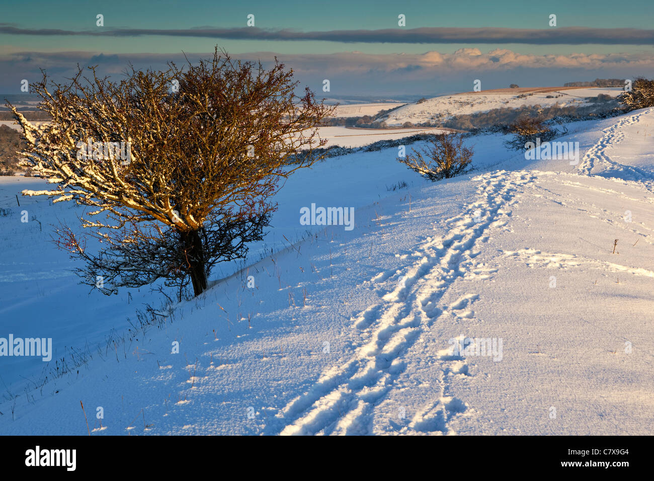 A view of snow covered downland with footprints along a footpath in ...